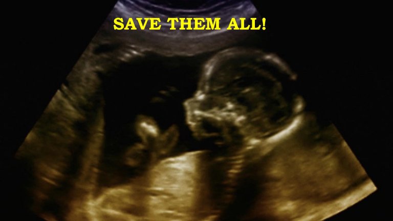 SAVE THEM ALL – The Real Truckmaster